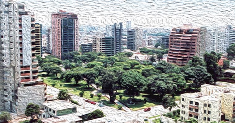Un bosque para Lima (I) | Noticias | Diario Oficial El Peruano