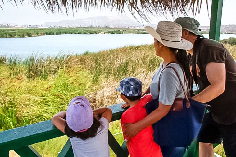 ¿ya Se Oficializó La Norma Que Declara El 7 De Junio Como Día Feriado