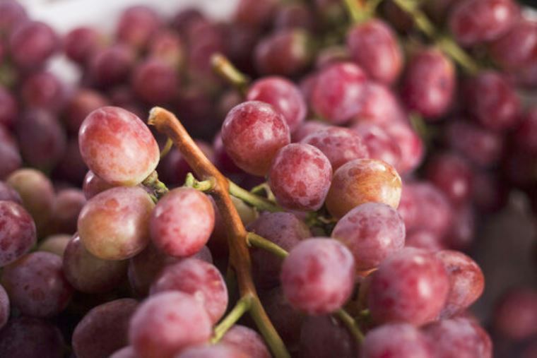 Perú, primer exportador mundial de uvas en el 2021 | Noticias | Diario ...