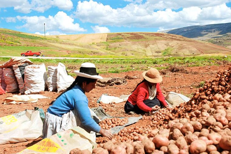 Agro Rural: 120,000 productores serán primeros beneficiados con entrega ...
