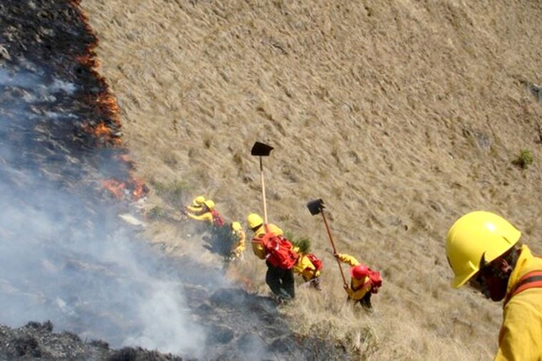 Minam El 98 De Incendios Forestales En El Perú Son Causados Por La