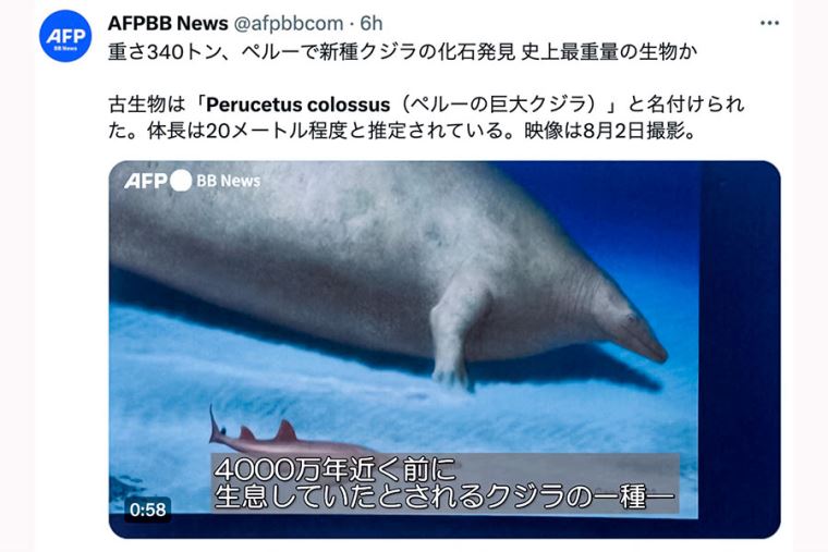 "Perucetus colossus": así reaccionó la prensa mundial ante fabuloso ...