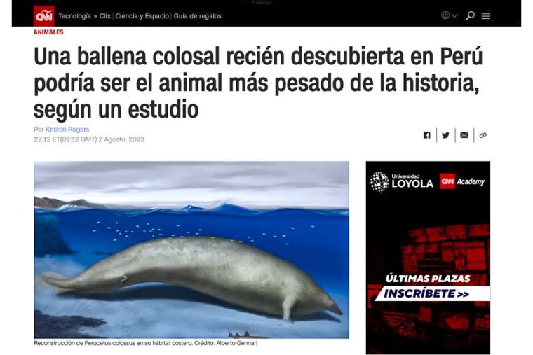 "Perucetus colossus": así reaccionó la prensa mundial ante fabuloso ...